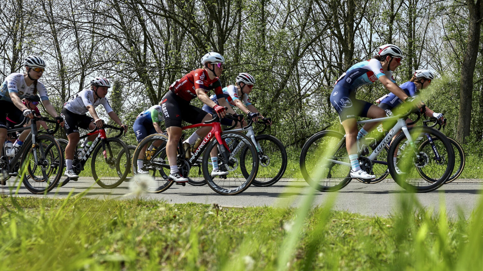 Lotto Ladies Cycling Cup - Lotto Belgium Cup